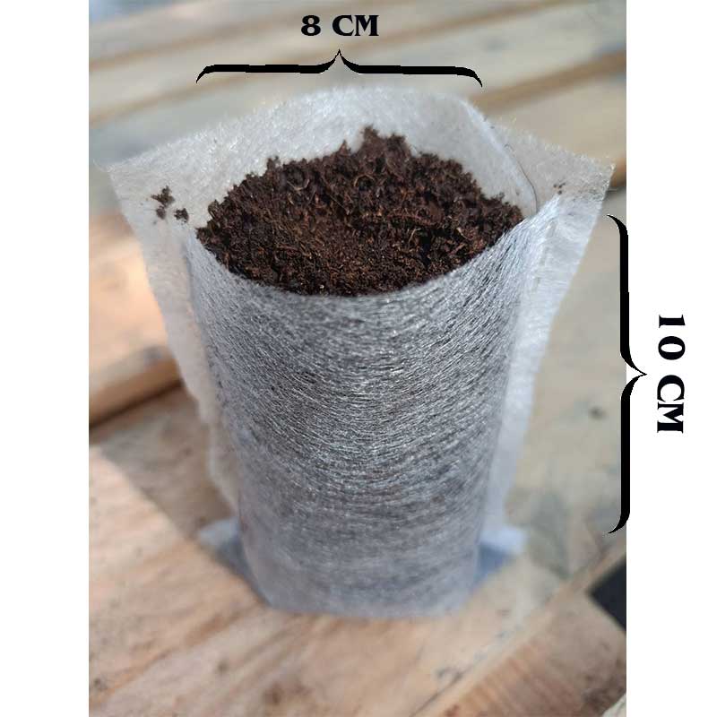 ถุงเพาะสปันบอนด์ ขนาด 8*10 ซม ()